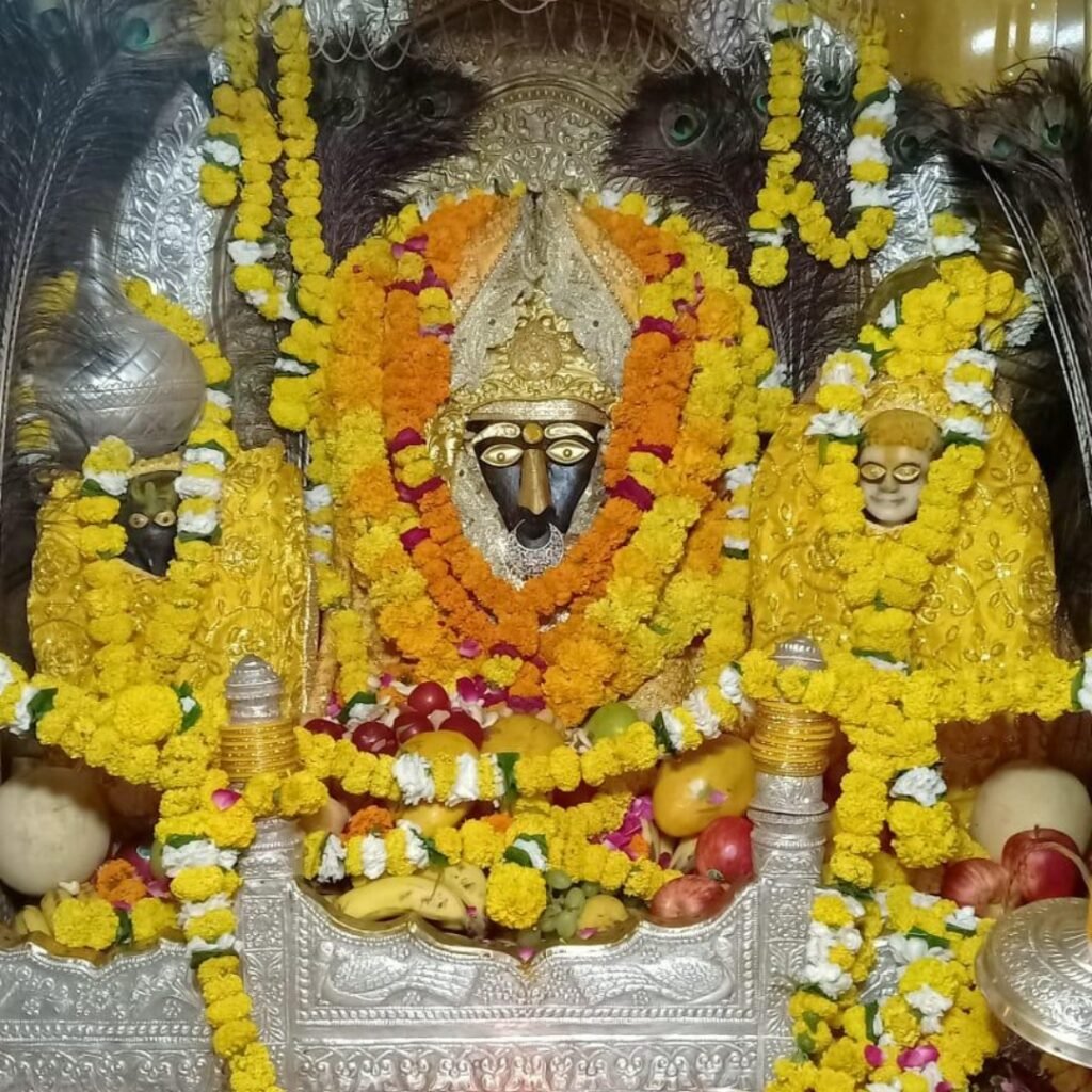 Bagalamukhi Jayanti Puja - VisionAstro